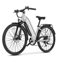 China TST C624 Adult Electric Mountain Bike Rear Hub Motor Steel Frame Disc Brake Brushless Motor 10.4Ah Lithium Battery for sale