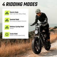 China Adult Fat Tire Electric Folding Bike 1000W Suspension 48V Woman Electric Bicycle EU Warehouse Foldable City Use E Bike Fat Bike for sale