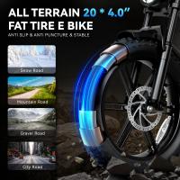 China Adult Fat Tire Electric Folding Bike 1000W Suspension 48V Woman Electric Bicycle EU Warehouse Foldable City Use E Bike Fat Bike for sale