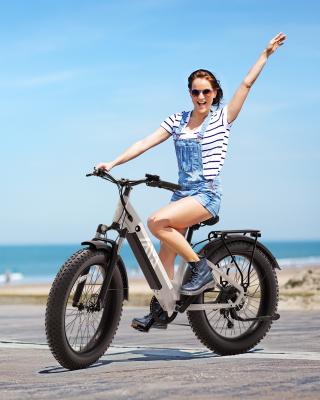 China 48V 26 Inch Fat Tire Electric Bike for City Commuting & Off-Road with Long Range Women MTB Ebike Fatbike 250W for sale