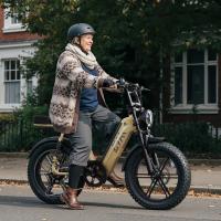 China 750W 48V15AH Lithium Battery Yeestep R7 Fat Tire Ebike 20*4.0inch Powerful All-Terrain E-Bike for Adults for sale