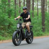 China R7 Womens Fat Tire Electric Bike | 20 Inch Comfortable City All-Terrain E-Bike for Ladies City bike for sale