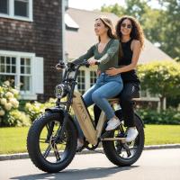 China R7 Womens Fat Tire E-Bike 20 Inch | Fashion Ladies Electric Bike for City & Outdoor Use for sale