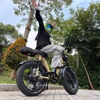 China R7 Womens Fat Tire E-Bike 20 Inch | Fashion Ladies Electric Bike for City & Outdoor Use for sale