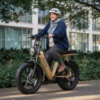 China R7 Womens Fat Tire E-Bike 20 Inch | Fashion Ladies Electric Bike for City & Outdoor Use for sale