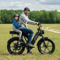 China R7 Women Comfort Electric Bike | 20inch Fat Tire E-Bike for Urban Riding and Leisure Cycling for sale