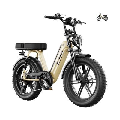 China TST Carbon Steel Frame Electric Bike for Adults 250W for Rear Hub Motor 60 Miles Fat Tire Yellow for sale