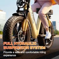 China TST Carbon Steel Frame Electric Bike for Adults 250W for Rear Hub Motor 60 Miles Fat Tire Yellow for sale