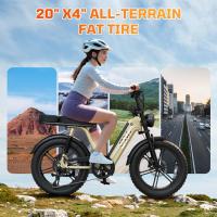 China TST Carbon Steel Frame Electric Bike for Adults 250W for Rear Hub Motor 60 Miles Fat Tire Yellow for sale