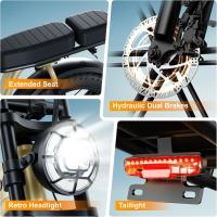 China TST Carbon Steel Frame Electric Bike for Adults 250W for Rear Hub Motor 60 Miles Fat Tire Yellow for sale