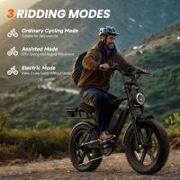 China EU Stock R002 Pro DDP Delivery 20A Lithium Battery 105km Electric Fat Tyre Hybrid Cycle Rear Hub Motor Brushless Disc Brakes for sale