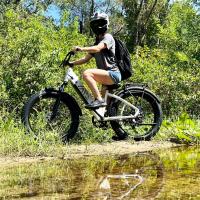 China F622 48V Electric Hybrid Mountain Bike Steel Frame Electric Road Bike 7 Speed Rear Hub Motor Lithium Battery 1200W Brushless for sale