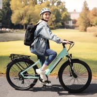 China F622 48V Electric Hybrid Mountain Bike Steel Frame Electric Road Bike 7 Speed Rear Hub Motor Lithium Battery 1200W Brushless for sale
