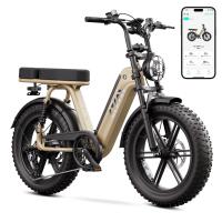 China TST R7 Steel Frame Electric Bike for Teen&Adult 1500W Brushless Rear Hub Motor MTB Long Range Fat Tire Ebike Electric Dirt Bike for sale