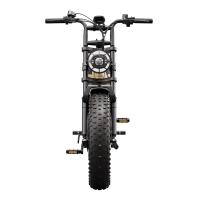 China TST R7 Steel Frame Electric Bike for Teen&Adult 1500W Brushless Rear Hub Motor MTB Long Range Fat Tire Ebike Electric Dirt Bike for sale