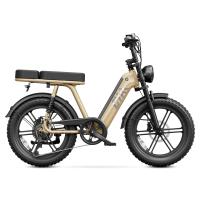 China TST R7 Steel Frame Electric Bike for Teen&Adult 1500W Brushless Rear Hub Motor MTB Long Range Fat Tire Ebike Electric Dirt Bike for sale