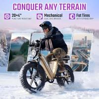 China R7 Fatbike 48V Lithium Electric Bicycle Sport Electric Mountain Bike 20inch Steel Frame Fat Tire E-Bike Mtb Electric Bike Ebike for sale
