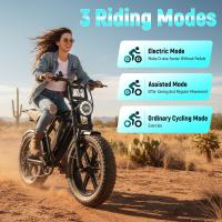 China Teens Fat Tire Ebike 1500W Fatbike Full Suspension Electric Mountain Bike with Steel Frame Speed Sensor Hydraulic Disc Brakes for sale