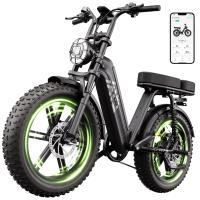 China TST R7 Steel Frame 250W Electric Bike for Teen&Adult Electric Dirt Bike for sale