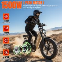 China TST R7 Steel Frame 250W Electric Bike for Teen&Adult Electric Dirt Bike for sale