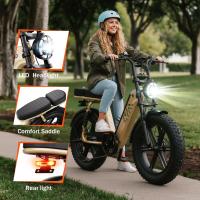 China TST R7 Steel Frame 250W Electric Bike for Teen&Adult Electric Dirt Bike for sale