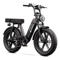 China R7 250W 500w 750w electric bicycle with good price Electric Dirt Bike for sale