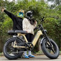 China R7 250W 500w 750w electric bicycle with good price Electric Dirt Bike for sale