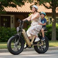China Cheap EBIKE 250W 500W 750W 1000W 1200W Electric Bike with Two Seats for Family for sale
