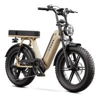 China Cheap EBIKE 250W 500W 750W 1000W 1200W Electric Bike with Two Seats for Family for sale