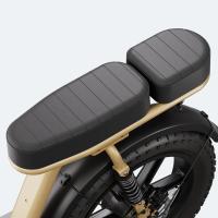 China Cheap EBIKE 250W 500W 750W 1000W 1200W Electric Bike with Two Seats for Family for sale