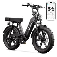 China Popular 750W Rear Hub Motor 48V Battery Electric Bicycle Electric Dirt Bike  for Women for sale