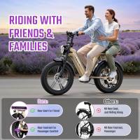 China Popular 750W Rear Hub Motor 48V Battery Electric Bicycle Electric Dirt Bike  for Women for sale