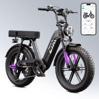 China Fast Charging 48V 15AH 250W 500W 750W Electric Bicycle Electric Bike CE Certified for sale