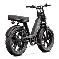 China Fast Charging 48V 15AH 250W 500W 750W Electric Bicycle Electric Bike CE Certified for sale
