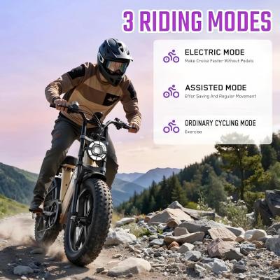 China Cheap 250W 500W 750W 1000W 1200W Electric Bike Mountain Electric Bike Road Electric Bike for Adults for sale