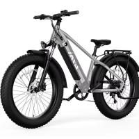 China TST 26INCH Electric Bike Alloy 750W 48V 15Ah Toothed Brushless Motor Mountain Road Sport E Bike for Adult for sale