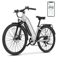 China Wholesale Classic 26 Inch Electric Bike | 36V 7.6Ah Urban Commuter E-Bicycle | OEM/ODM Available 250W for sale