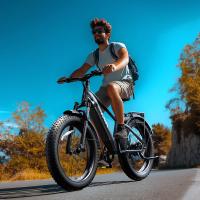 China F612 F622 Fat Tire Ebike Remove Lithium Battery Pack 750W Motor 7 Speed Hydraulic Disc Brake Fat Bike for sale