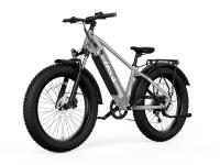 China F612 F622 Fat Tire Ebike Remove Lithium Battery Pack 750W Motor 7 Speed Hydraulic Disc Brake Fat Bike for sale