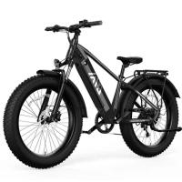 China F612 F622 Fat Tire Ebike Remove Lithium Battery Pack 750W Motor 7 Speed Hydraulic Disc Brake Fat Bike for sale