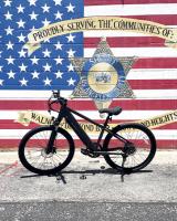 China Classic City Ebike M612 36V 26