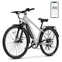 China TST M614 250W Electric City Bike for Adults 36V/10.4Ah Removable Battery 7 Speed Steel Frame Electric City Bike for Urban Use for sale