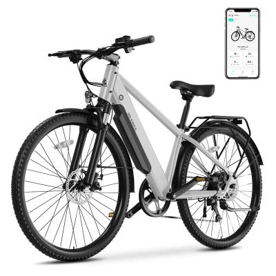 China TST M614 250W Electric City Bike for Adults 36V/10.4Ah Removable Battery 7 Speed Steel Frame Electric City Bike for Urban Use for sale