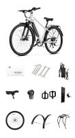 China TST M614 250W Electric City Bike for Adults 36V/10.4Ah Removable Battery 7 Speed Steel Frame Electric City Bike for Urban Use for sale