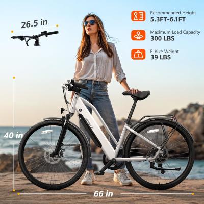 China TST C624 500W/750W Motor Adults Electric City Bike 36V/10.4Ah Removable 37km/h 7-Speed City Ebike 26