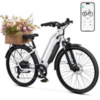 China TST C624 500W/750W Motor Adults Electric City Bike 36V/10.4Ah Removable 37km/h 7-Speed City Ebike 26