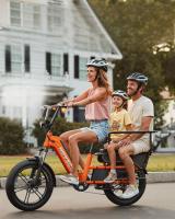 China German Warehouse HovCart EU/US/AU Stock Electric City Cargo Bike for Two Children with Protection Seat Torque Sensor Fat Tire for sale