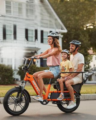 China German Warehouse HovCart EU/US/AU Stock Electric City Cargo Bike for Two Children with Protection Seat Torque Sensor Fat Tire for sale
