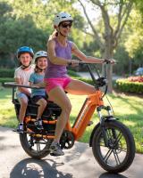 China German Warehouse HovCart EU/US/AU Stock Electric City Cargo Bike for Two Children with Protection Seat Torque Sensor Fat Tire for sale