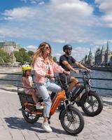 China German Warehouse HovCart EU/US/AU Stock Electric City Cargo Bike for Two Children with Protection Seat Torque Sensor Fat Tire for sale